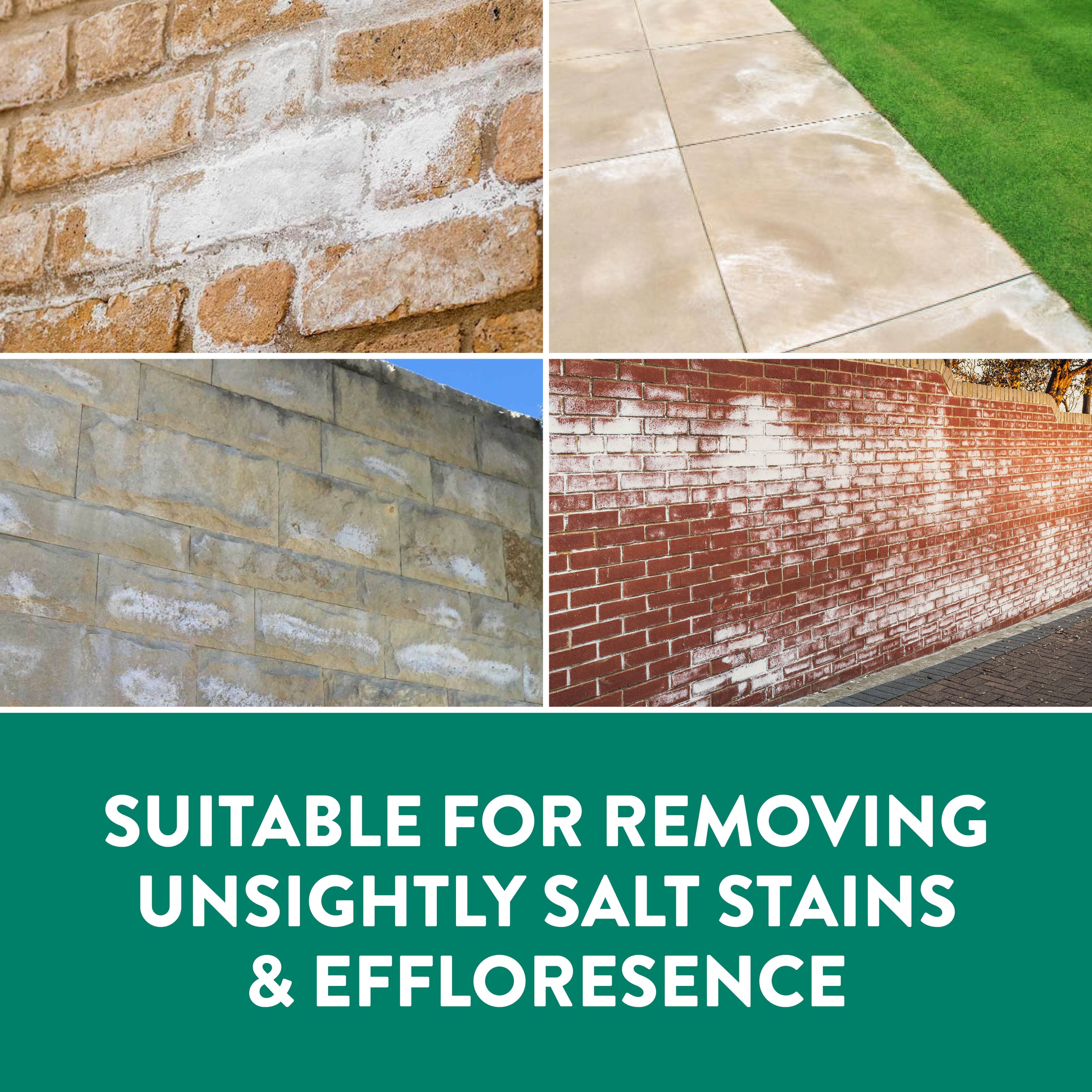 Salt Stain & White Efflorescence Remover | Ready-to-Use for Concrete ...